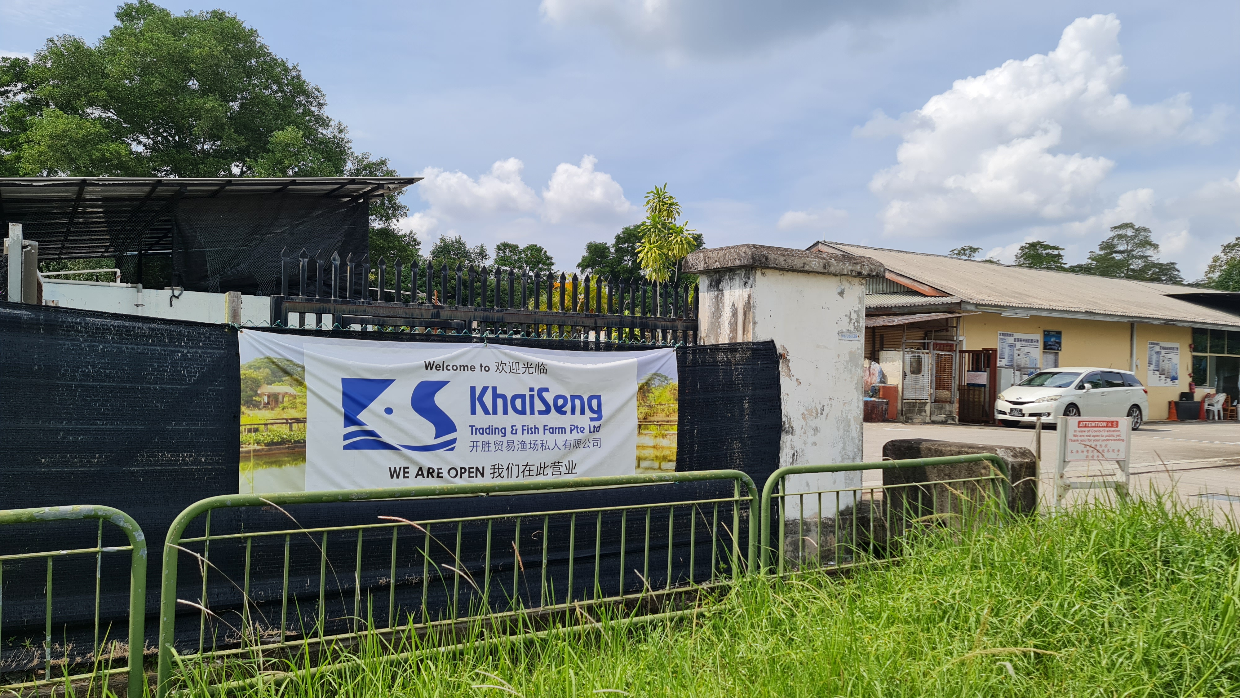 Visit and Tour Local Fish Farm Today – Khaiseng Trading & Fish Farm Pte ...
